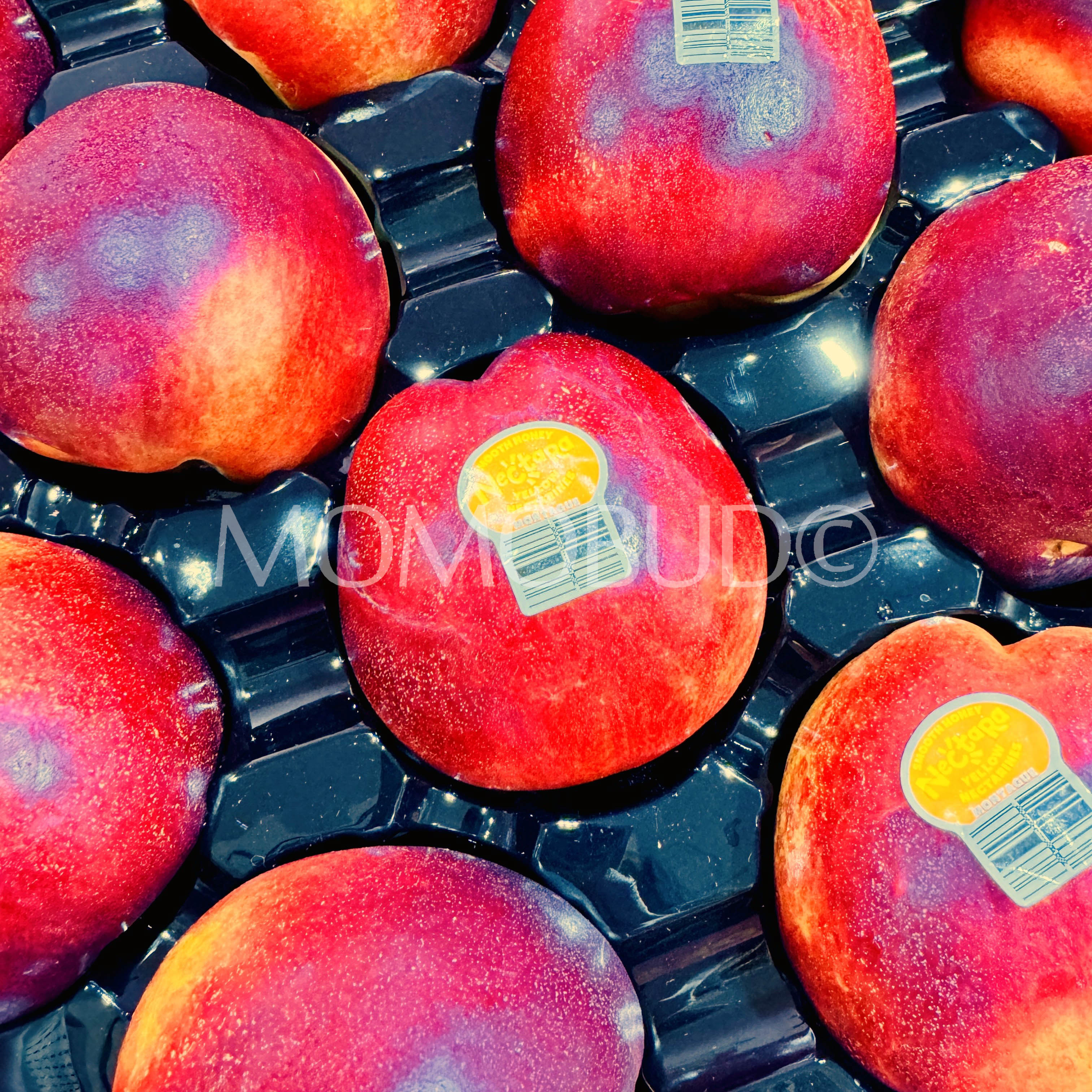 Nectara™ Smooth Honey Yellow Nectarine (Small-Plus) — MomoBud