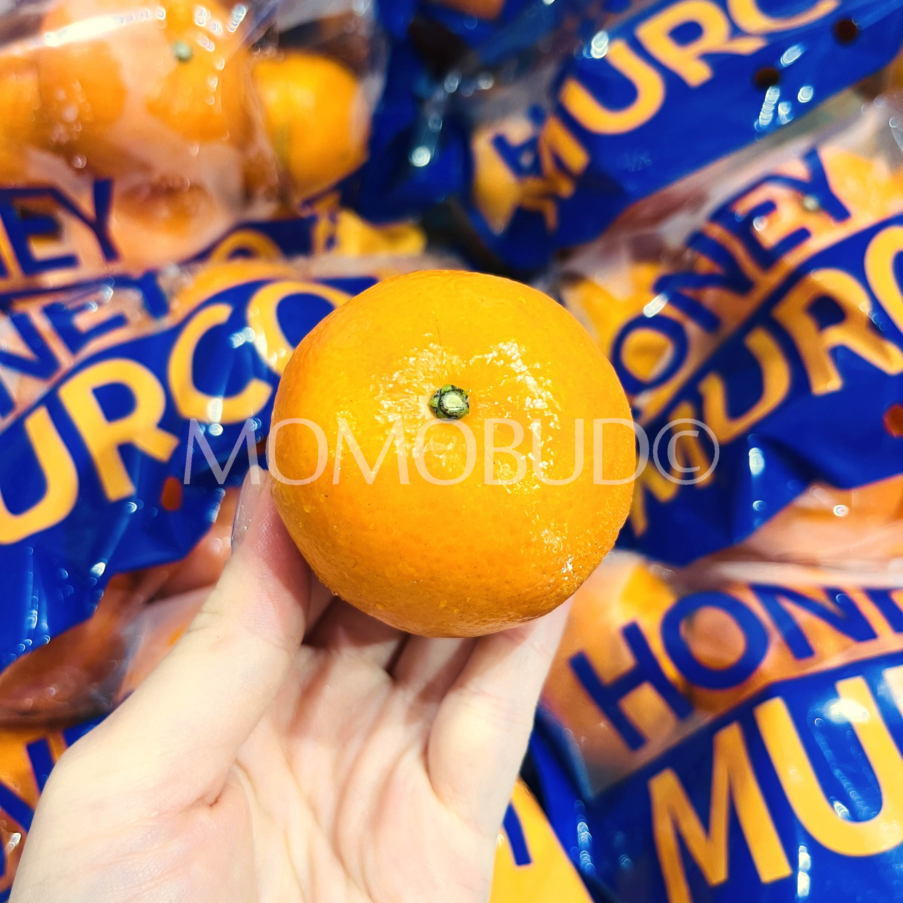 *Sweet & Juicy* China Honey Murcott Mandarin Orange Pack (700g approx ...