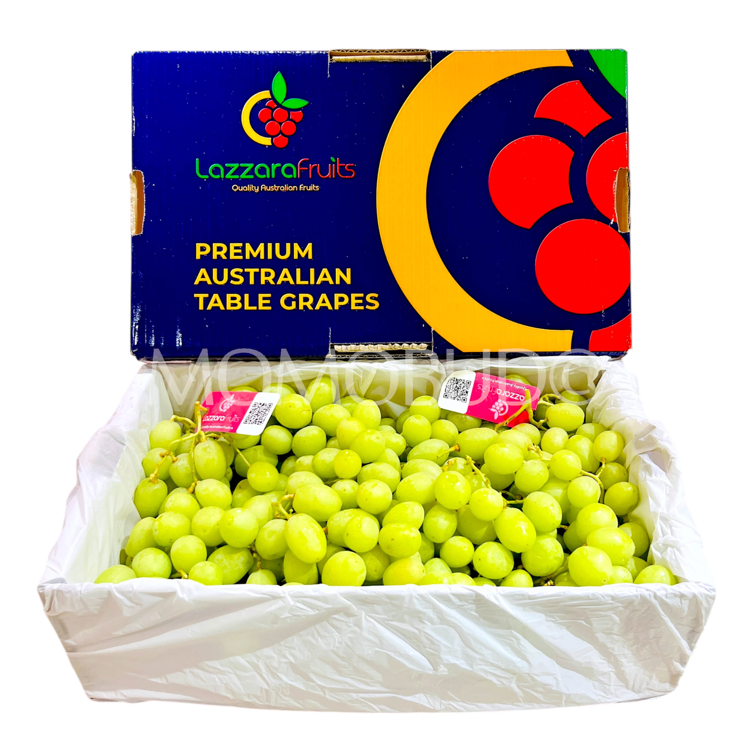 Lazzara Sweet Globe® Green Seedless Grapes — MomoBud