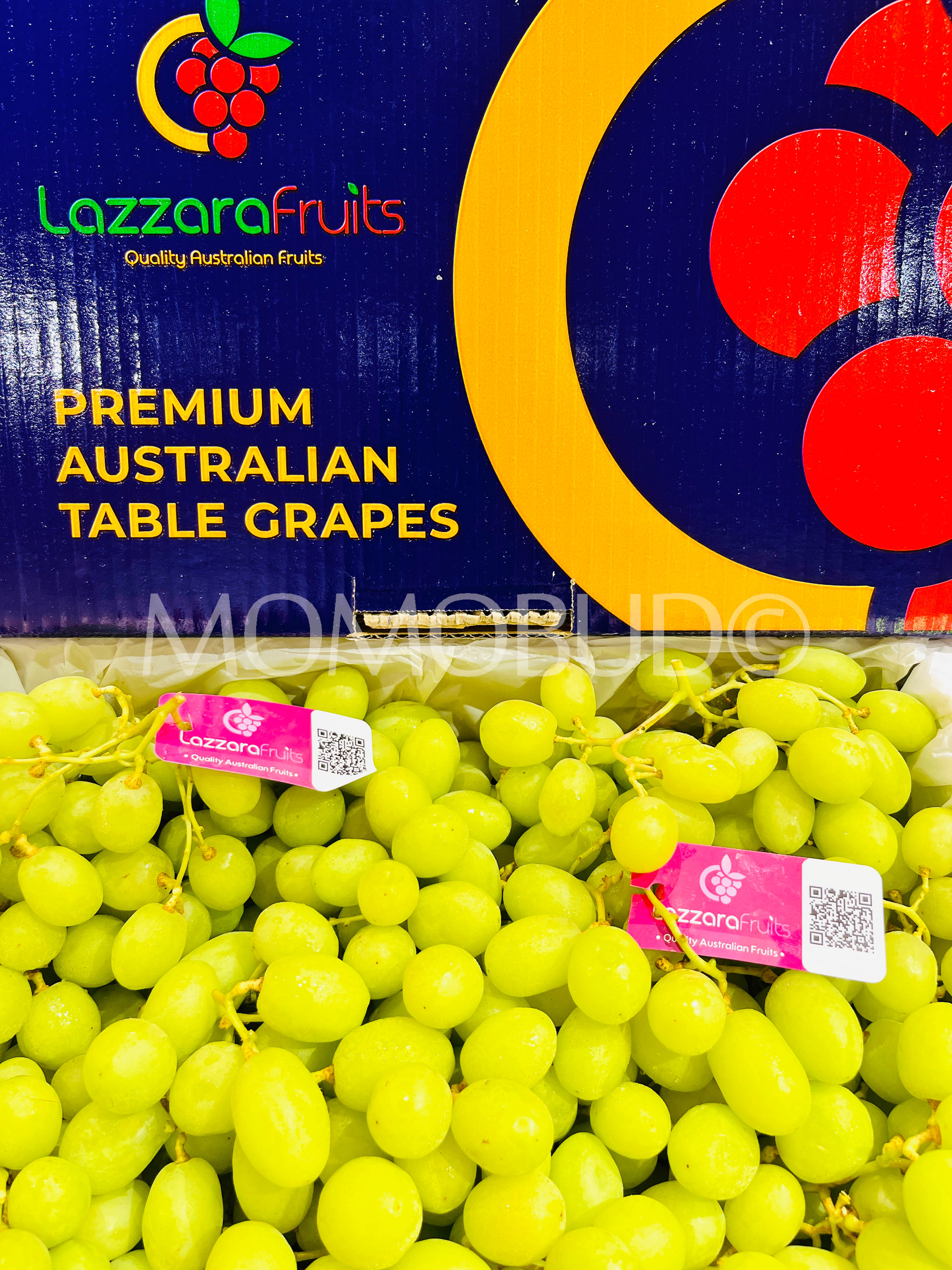 Lazzara Sweet Globe® Green Seedless Grapes — MomoBud
