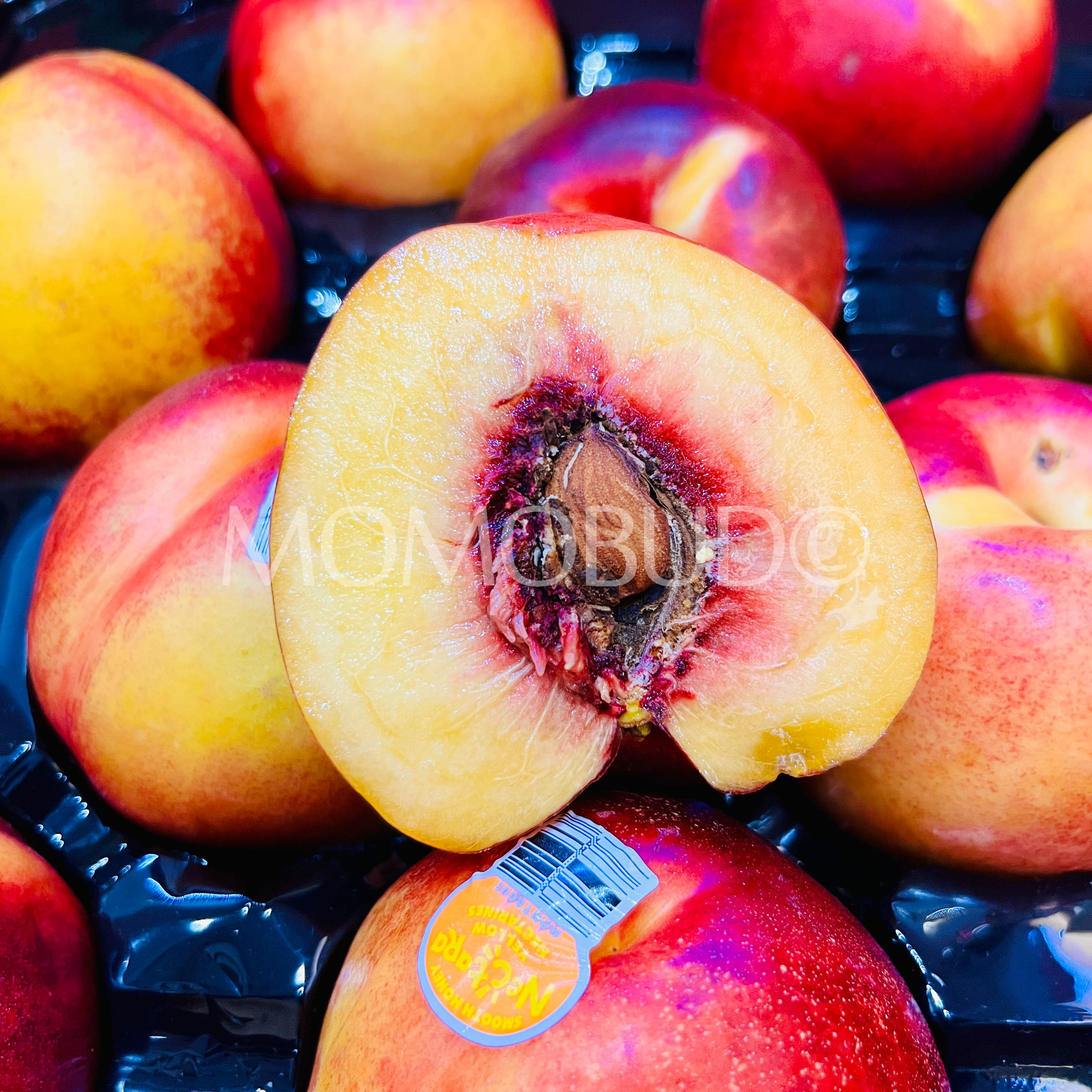 Nectara™ Smooth Honey Yellow Nectarine (Small-Plus) — MomoBud