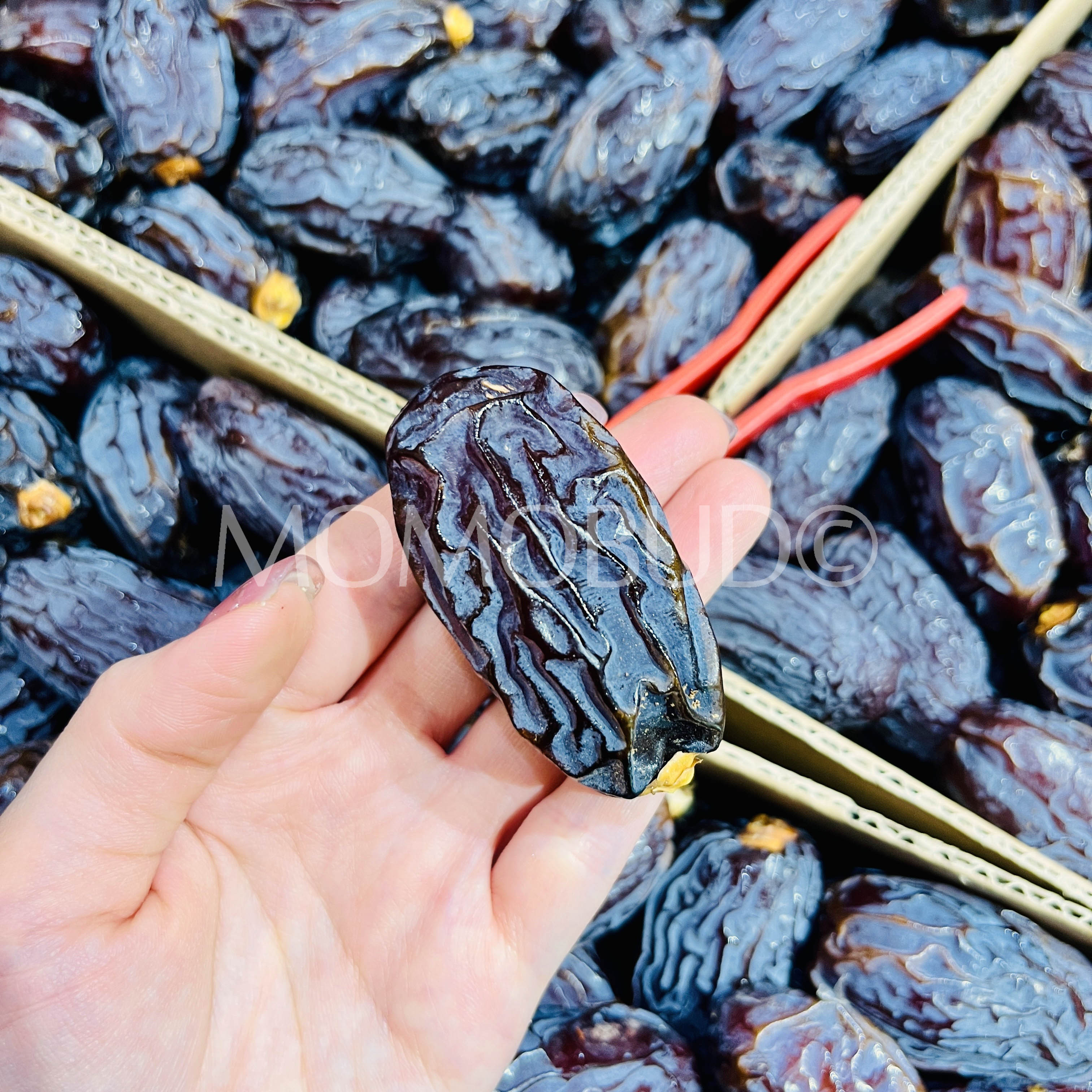 Jordan River Large Medjool Dates