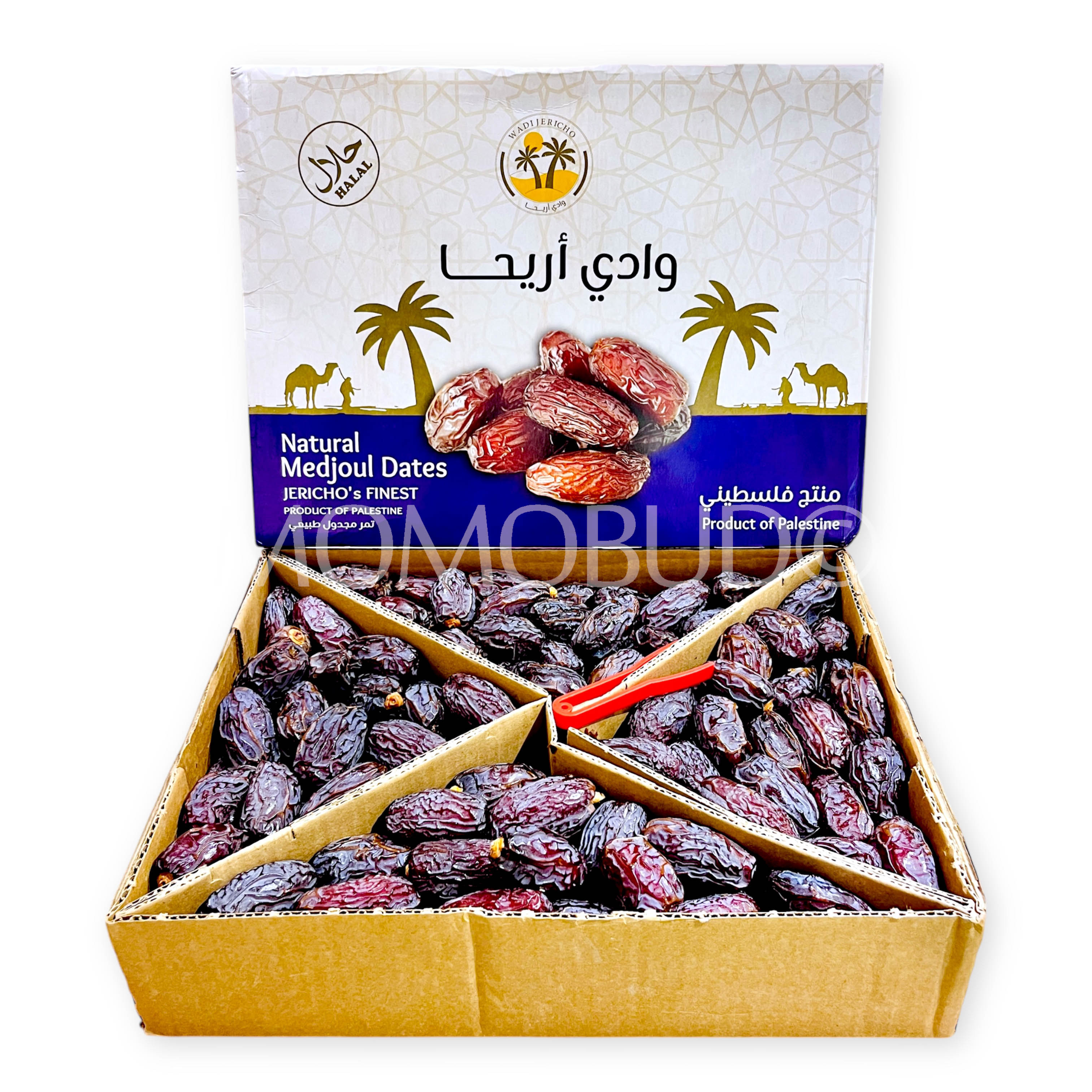 Jordan River Large Medjool Dates