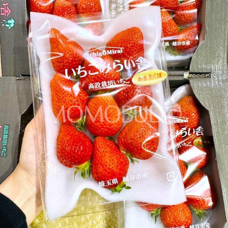 Japanese Saitama Amaekubo Ichigo (Strawberry) — MomoBud