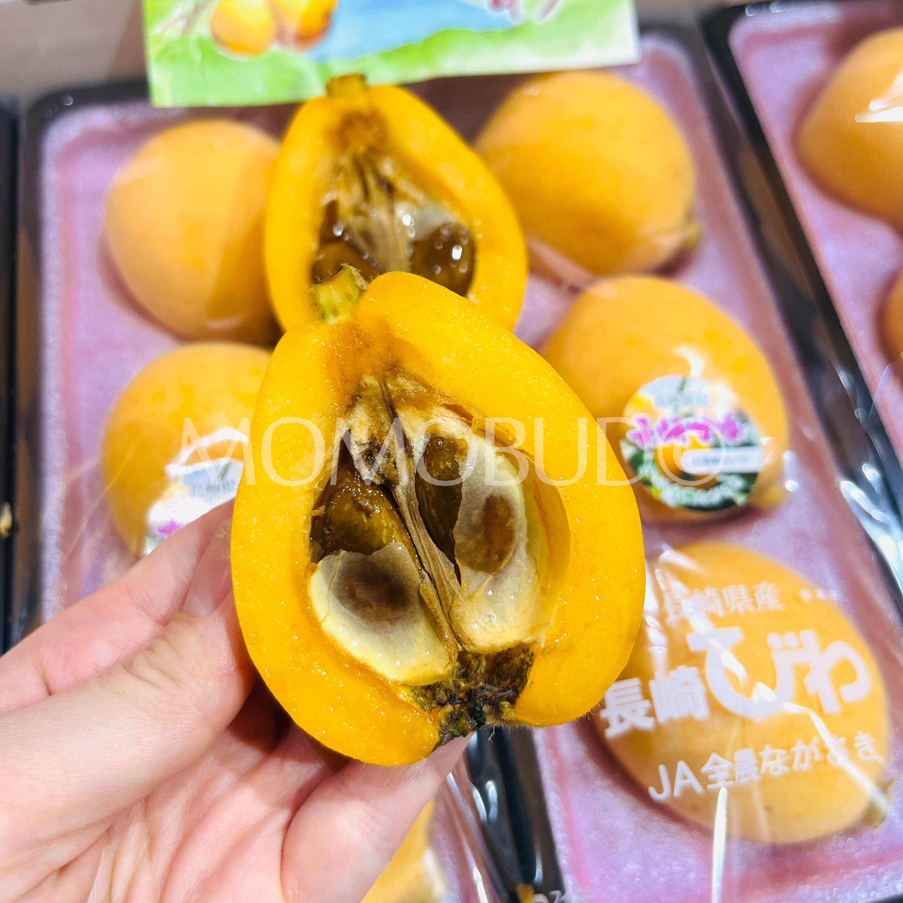 Jumbo Japanese Amaka Biwa (Loquat, 280g punnet) — MomoBud