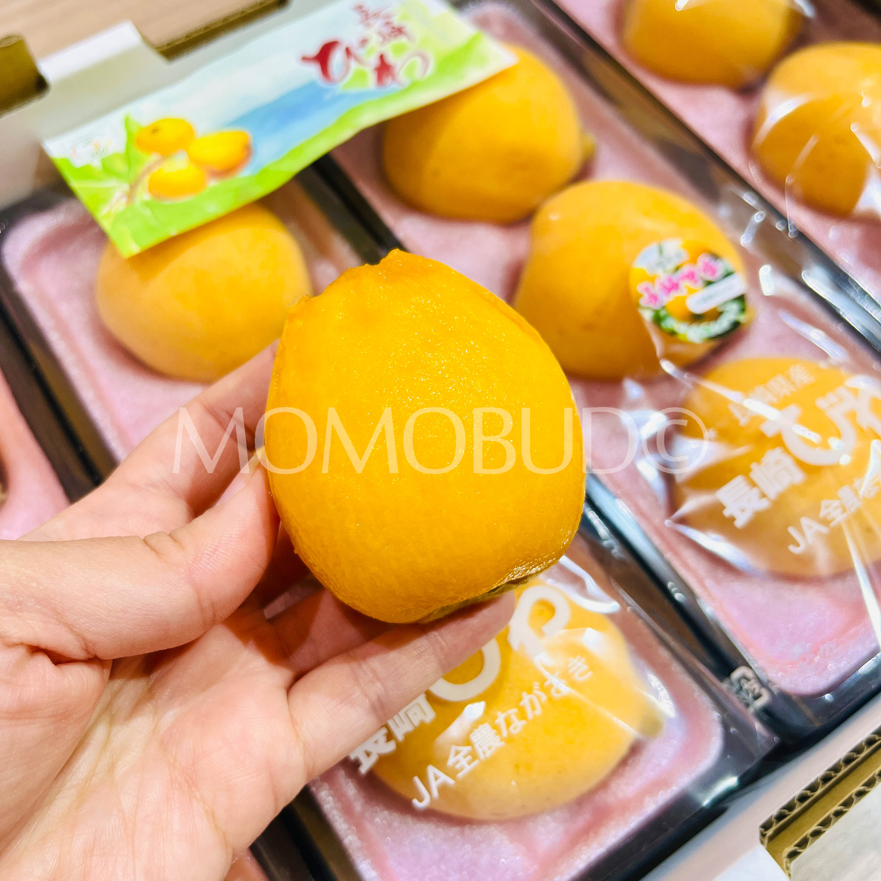 Jumbo Japanese Amaka Biwa (Loquat, 280g punnet) — MomoBud