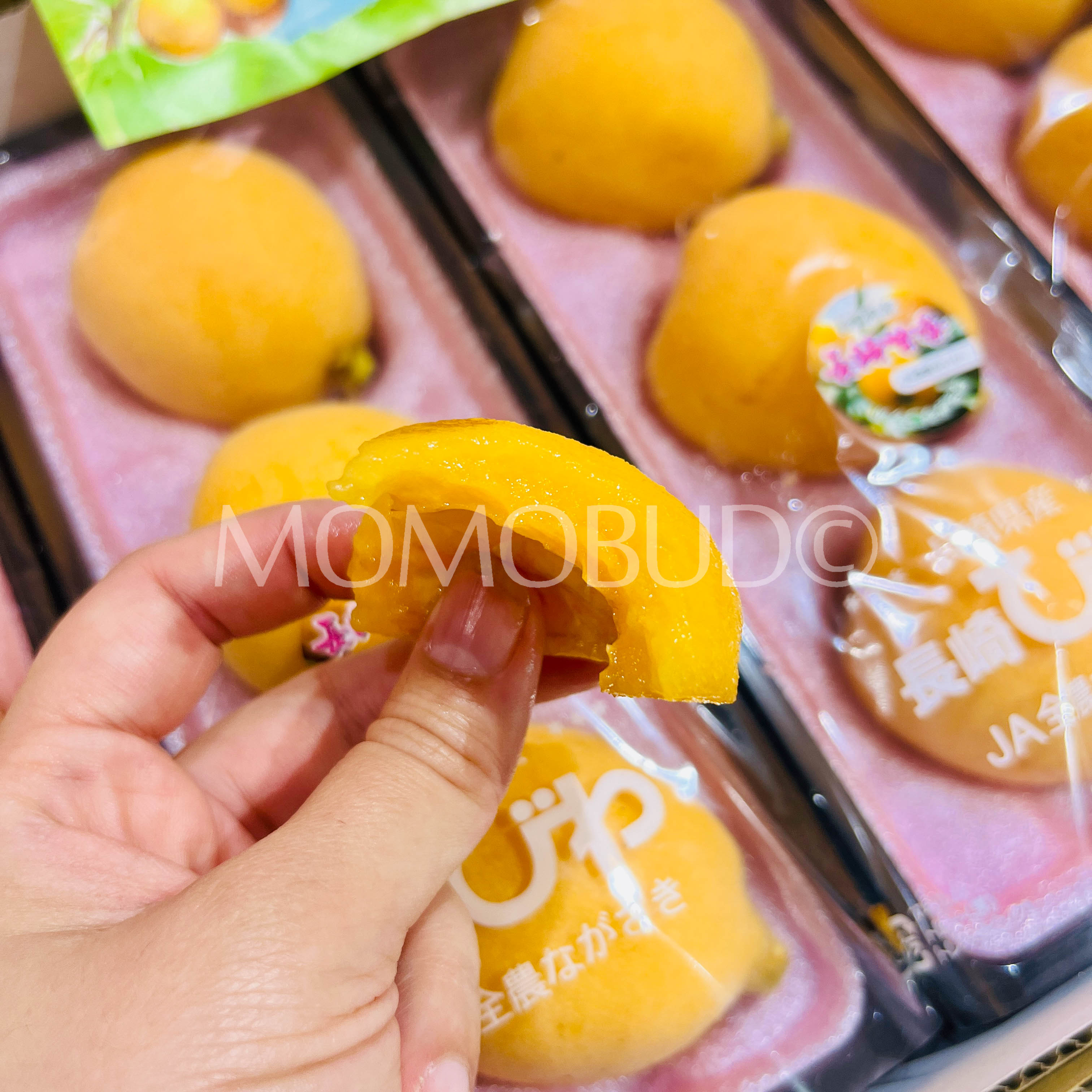 Jumbo Japanese Amaka Biwa (Loquat, 280g punnet) — MomoBud