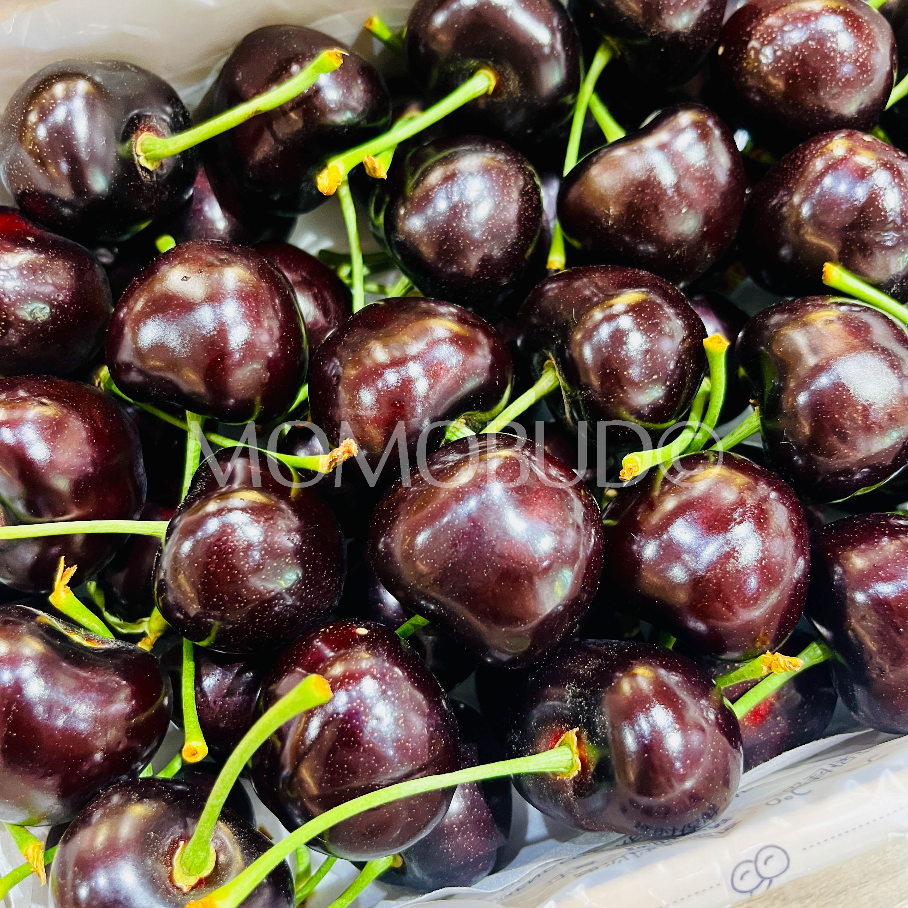 Airflown China Dalian Red Cherry Gift Box (X-Jumbo, 1kg) — MomoBud