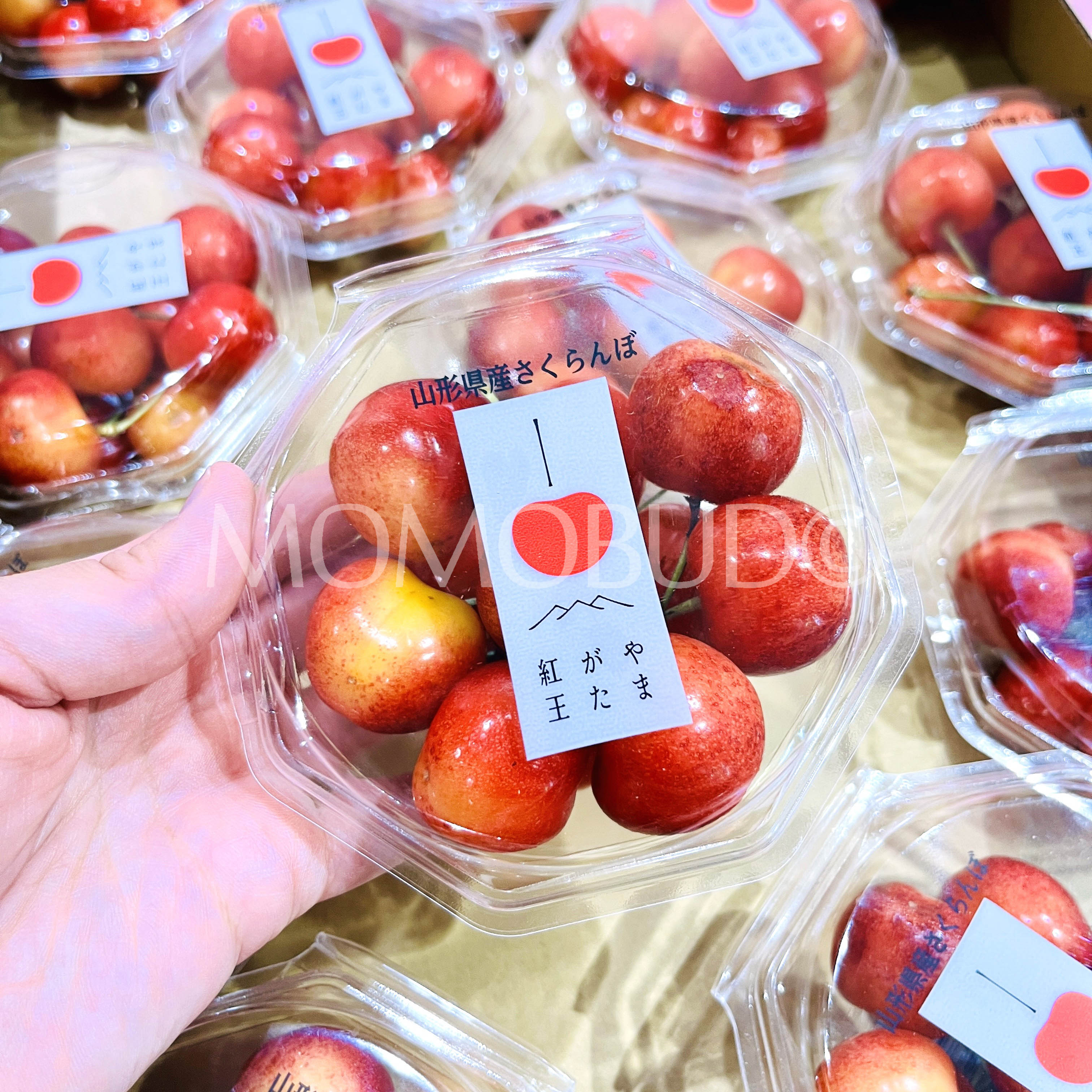 Japanese Yamagata Beniou Sakuranbo (Cherry, 100g punnet) — MomoBud