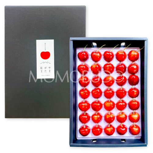 Japanese Yamagata Beniou Sakuranbo (Cherry) Gift Box — MomoBud