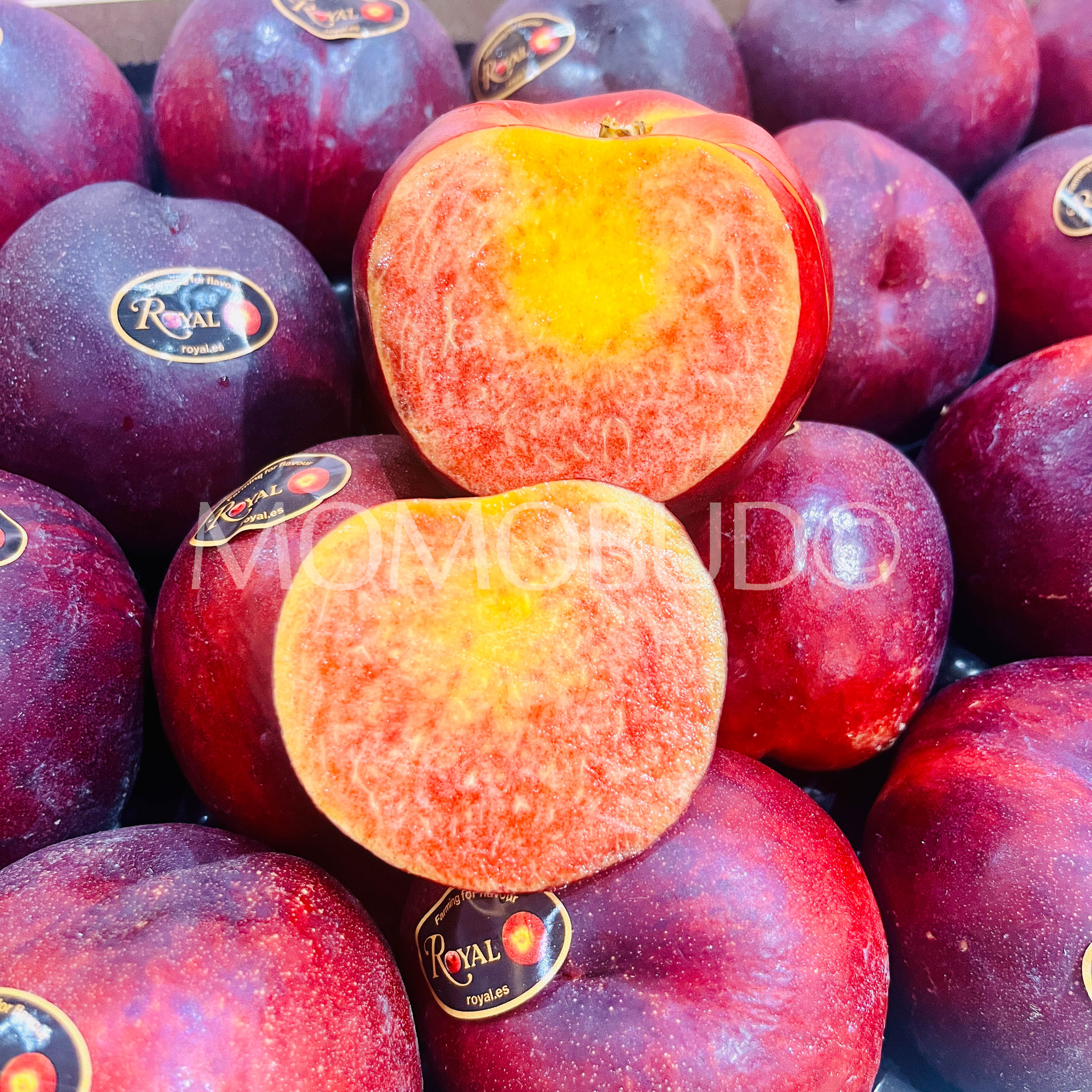 Royal Sanguine© Red Nectarine (Medium) — MomoBud