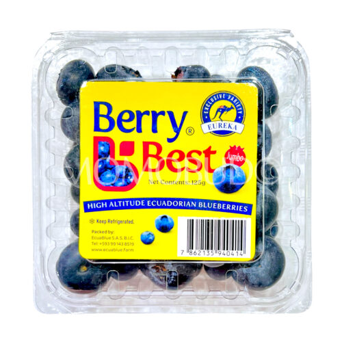 Ecuadorian Jumbo Berry Best® Eureka Blueberry (125g punnet) — MomoBud