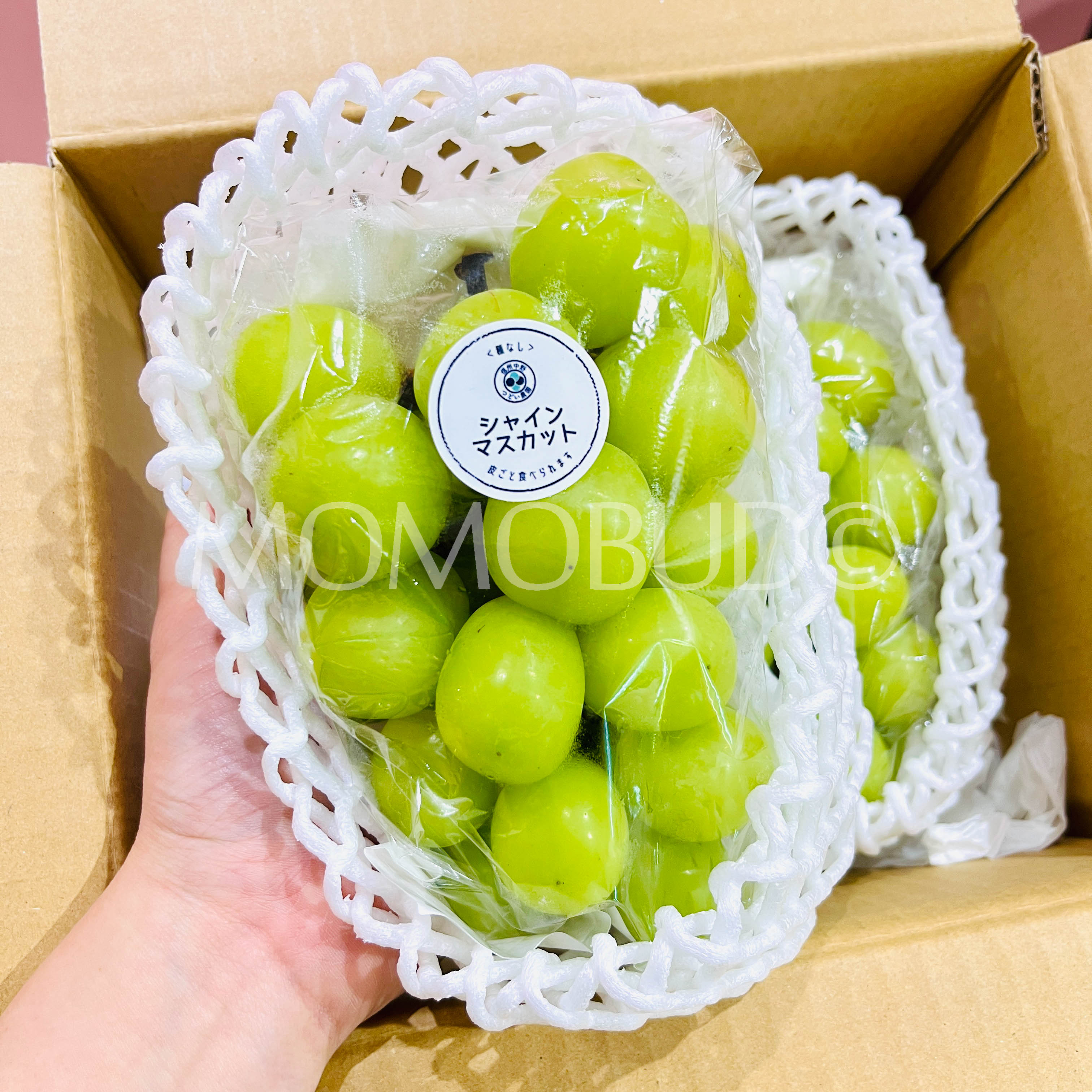 Japanese Shinshu Shine Muscat Grapes Gift Box (1kg) — MomoBud