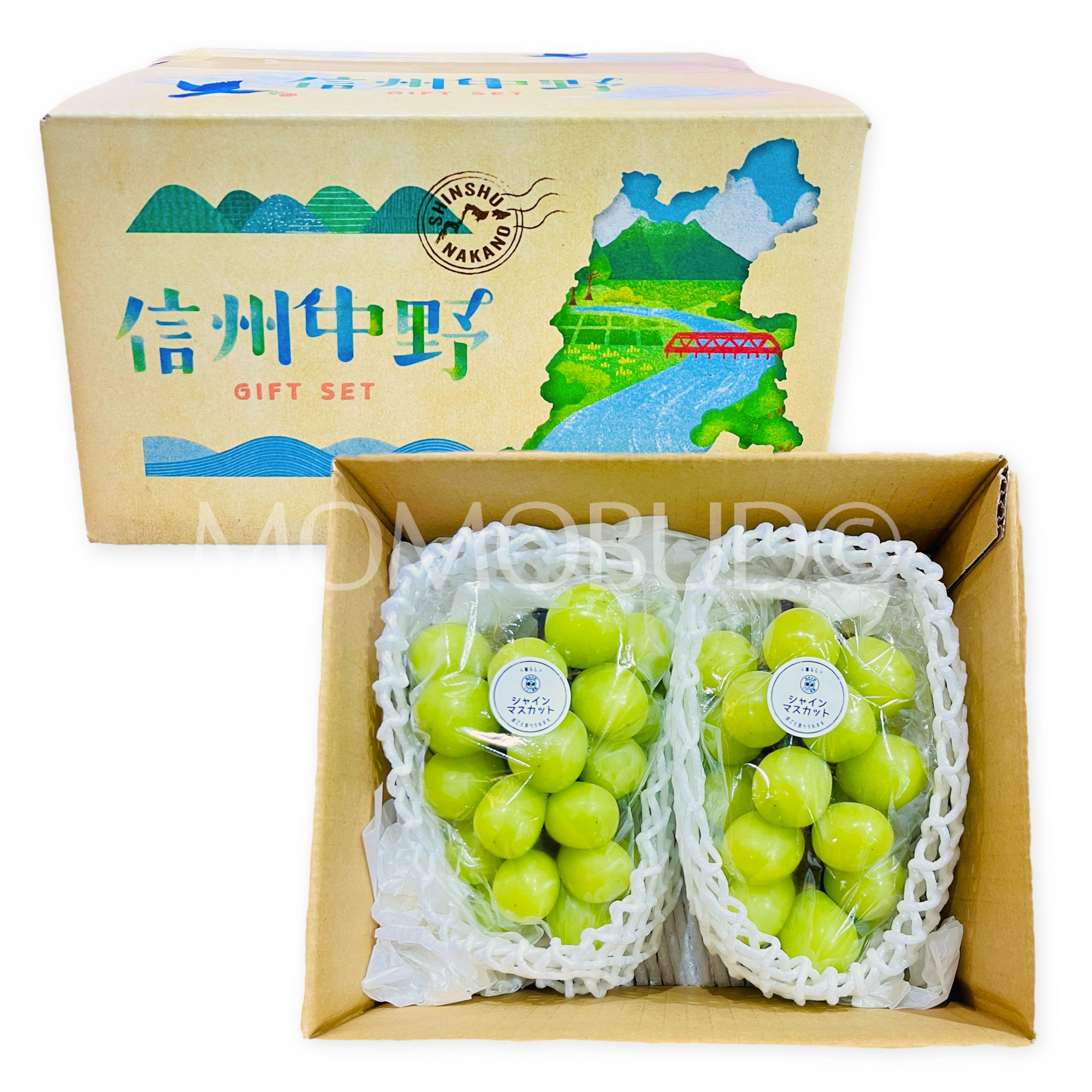 Japanese Shinshu Shine Muscat Grapes Gift Box (1kg) — MomoBud