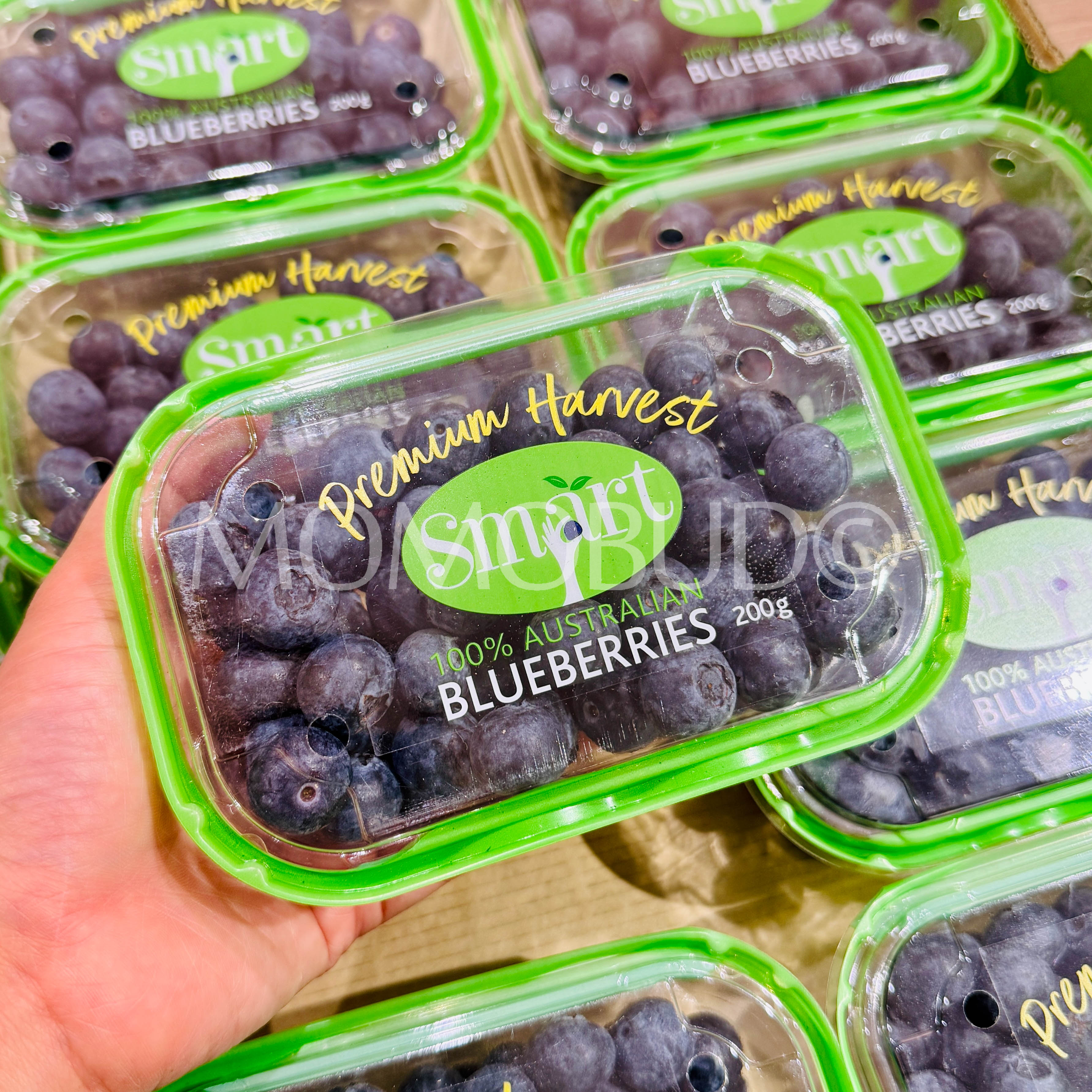 Australian Premium Harvest Smart Blueberry (200g punnet) — MomoBud