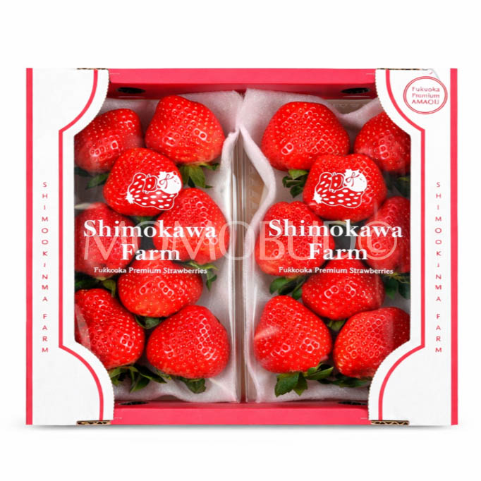 Premium Japanese Shimokawa Farm Amaou Ichigo (Strawberry) — MomoBud