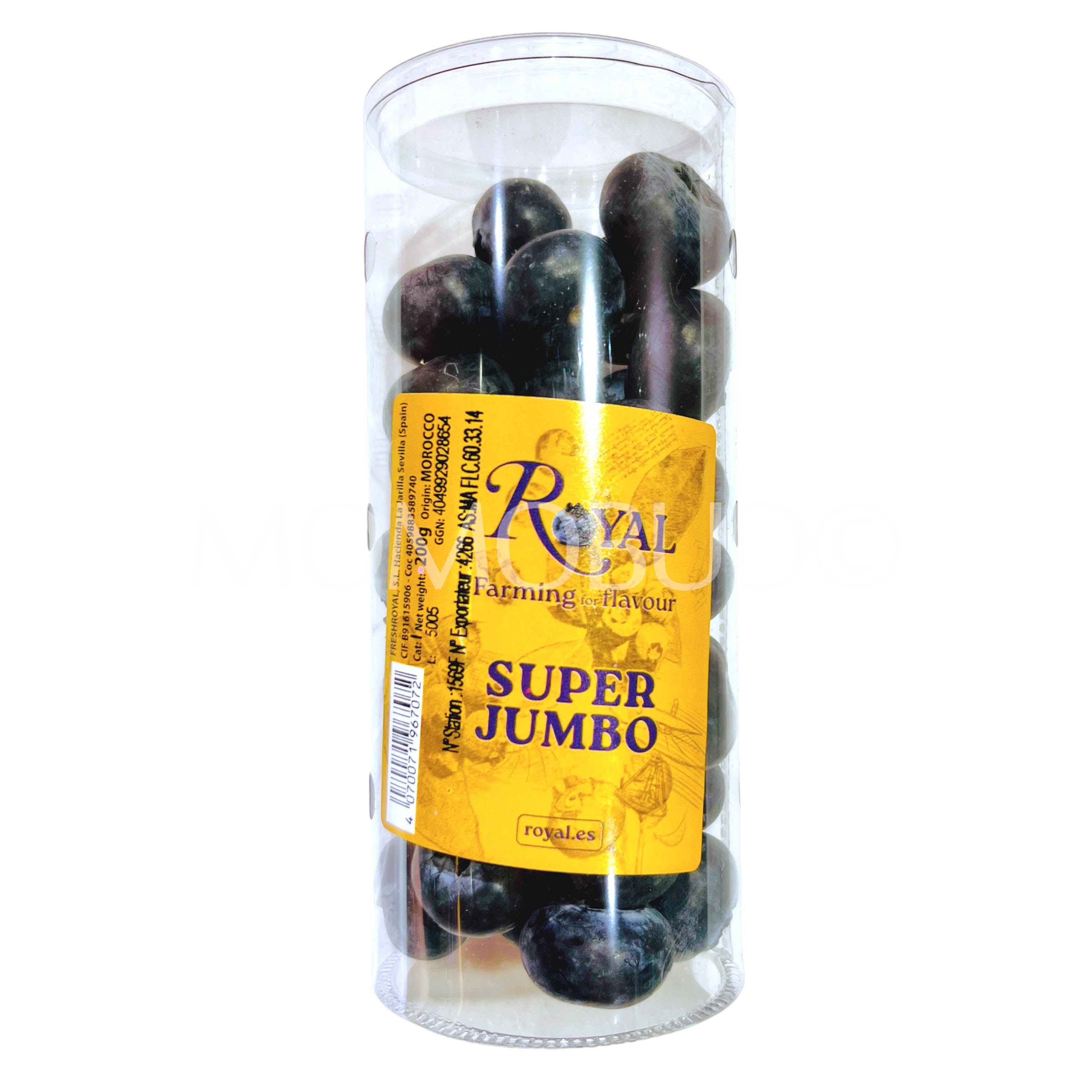 Royal®Super Jumbo Blueberry (200g punnet) — MomoBud