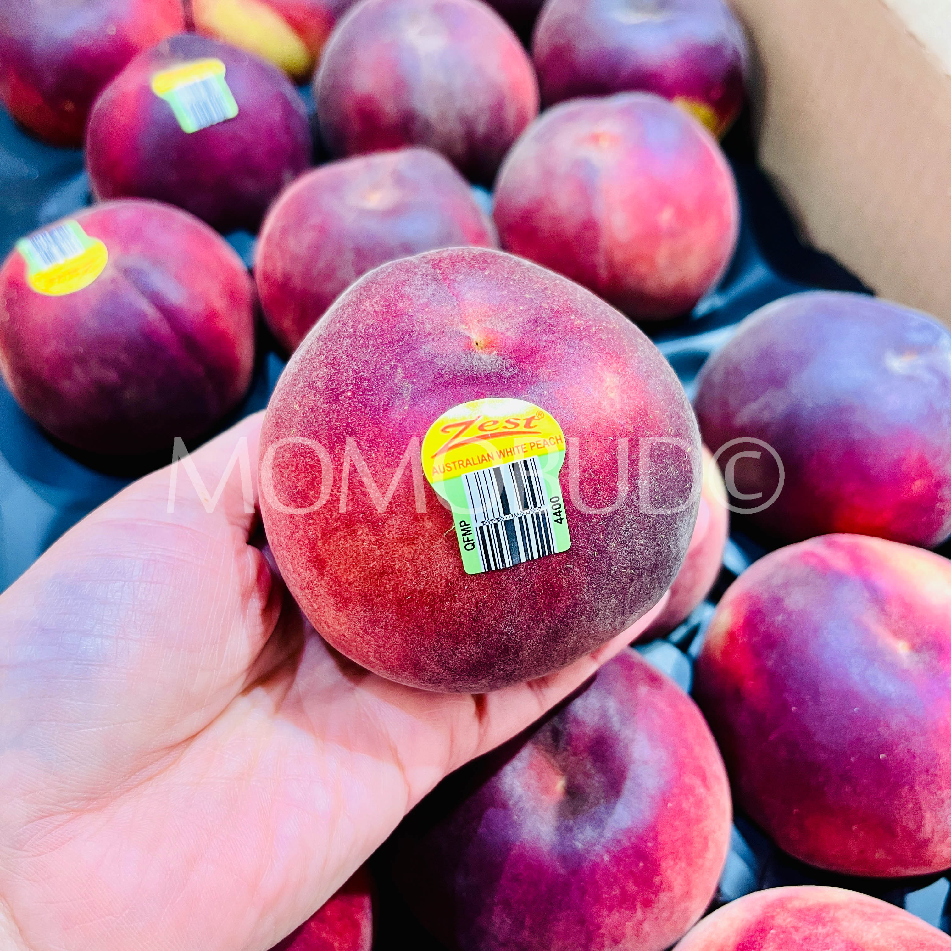 Zest® Australian White Peach (Medium-Plus) — MomoBud