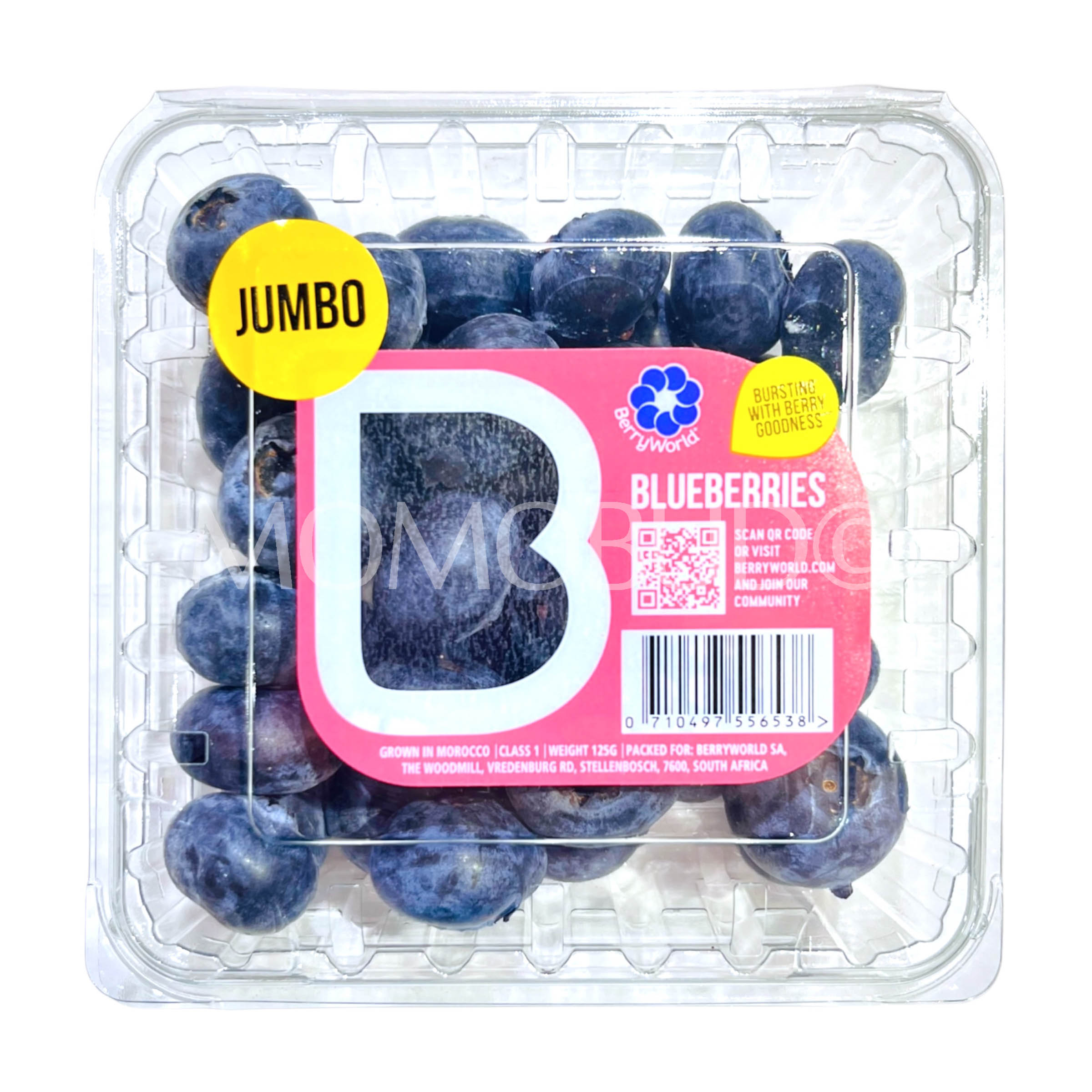 Berryworld® Jumbo Blueberry (125g punnet) — MomoBud