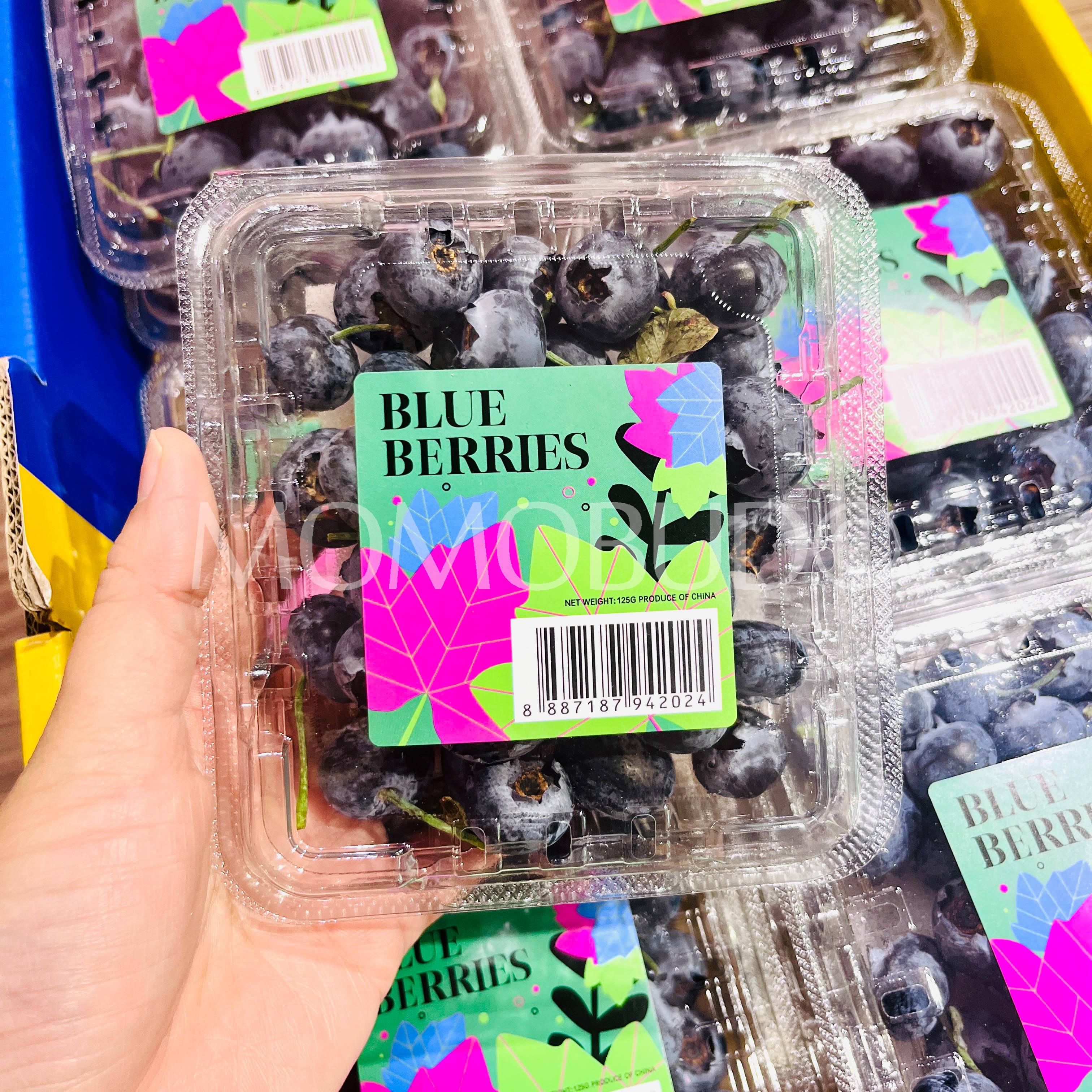China Yunnan Blueberry (125g punnet) — MomoBud